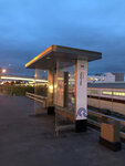 TRC Rio (Moscow, MKAD, 82nd kilometre, inner side), toplu taşıma durağı  Moskova'dan