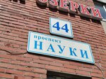 Fsb (Nauki Avenue No:44), sigorta şirketleri  Saint‑Petersburg'dan