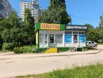 Фламинго (Sozidateley Avenue No:10Б), çiçekçiler  Ulyanovsk'tan
