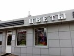 Цветы (Mashinostroiteley Avenue No:30А), çiçekçiler  Yaroslavl'dan