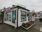 Цветочный каприз (Shaturskaya ulitsa No:10, posyolok Vasilkovo), çiçekçiler  Kaliningradskaya oblastından