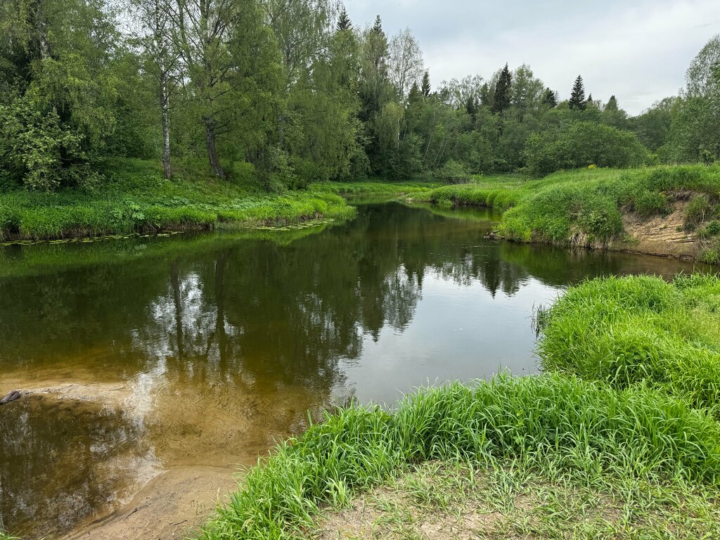 Piknik alanı Place for picnic, Vladimirskaya oblastı, foto