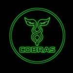 Cobras (ulitsa Yevdokimova No:102Бс3), bilgisayar kulübü  Rostov‑na‑Donu'dan