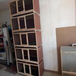 Kafes ci mesut (Kayseri, Melikgazi, Yıldırım Beyazıt Mah., Şükran Cad., 1), petshop  Kayseri'den