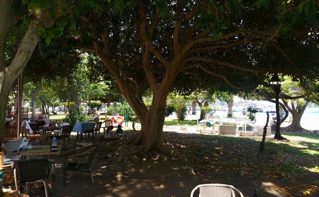 Pansiyonlar, hosteller Tufan Pansiyon, Fethiye, foto