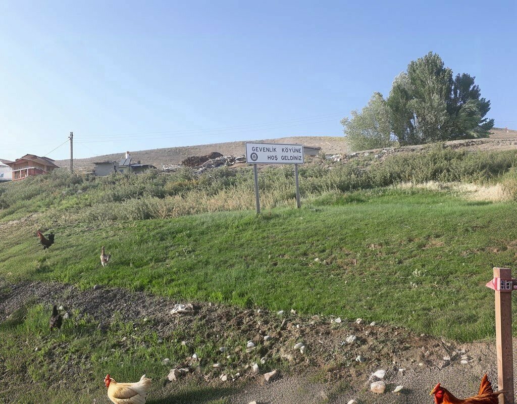 Otel Gevenlik Köyü Muhtarlığı, Tercan, foto