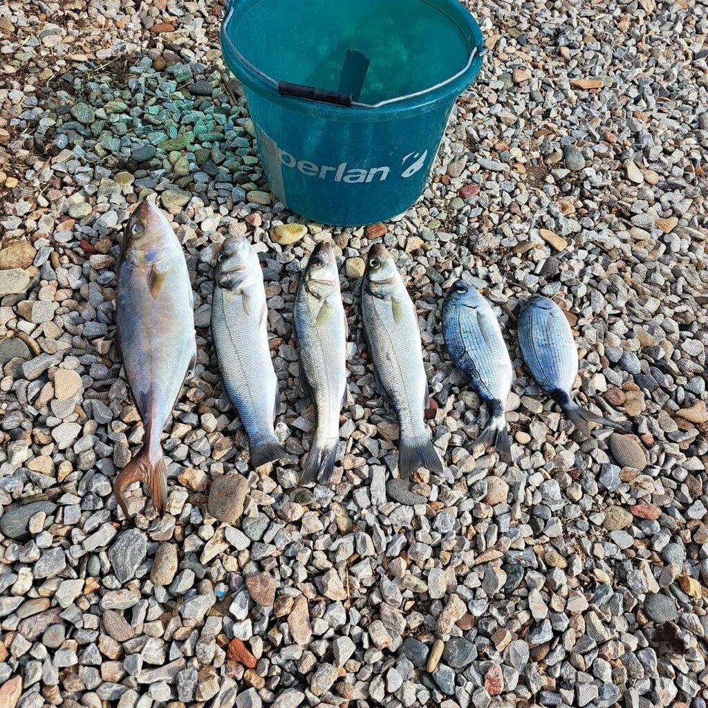 Karavan Antic Olea Beach &Caravan, Ayvacık, foto