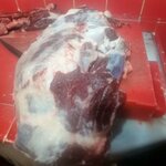 Kasap Ömer (Kastamonu, Şenpazar, Merkez Mah., Hasan Sarı Cad., 31), kasap, şarküteri  Şenpazar'dan