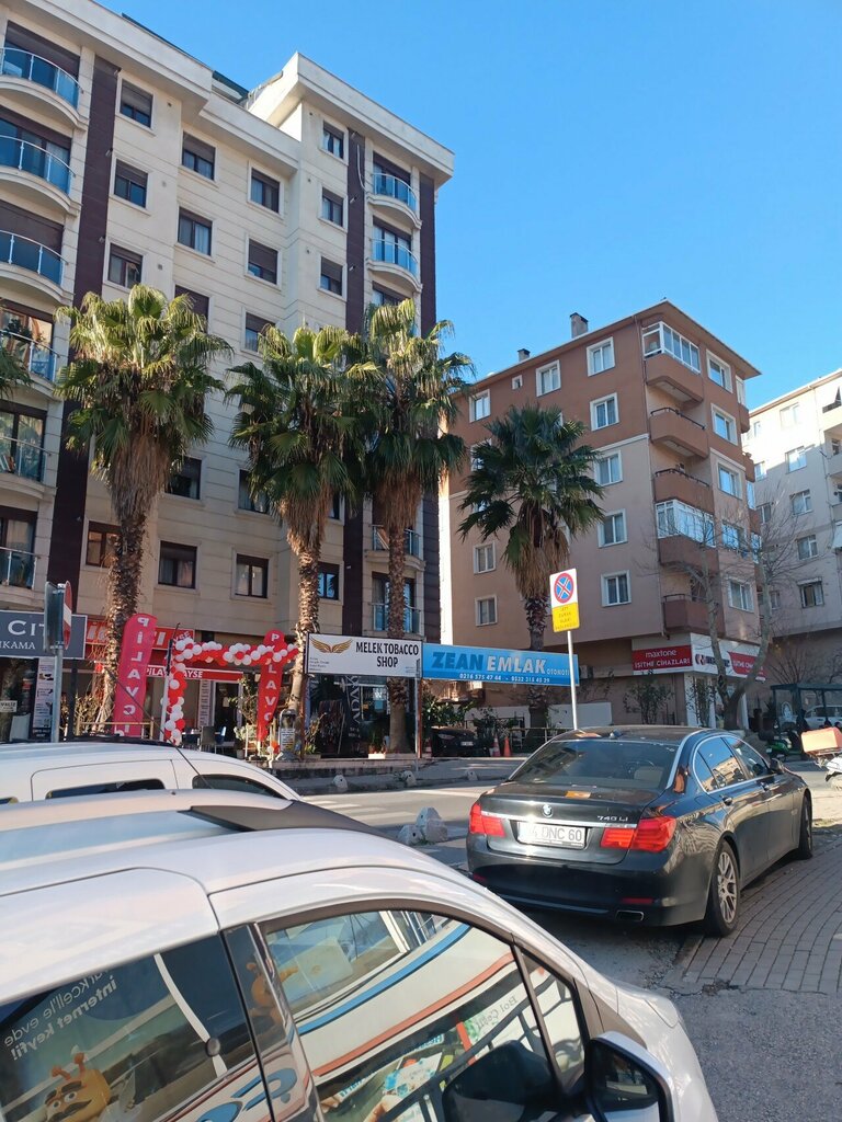 Emlak ofisi Zean emlak inşaat otomativ, İstanbul, foto