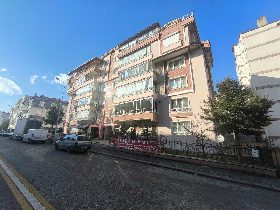 Sera ve bahçe ürünleri Gold Çiçek Evi, Ankara, foto