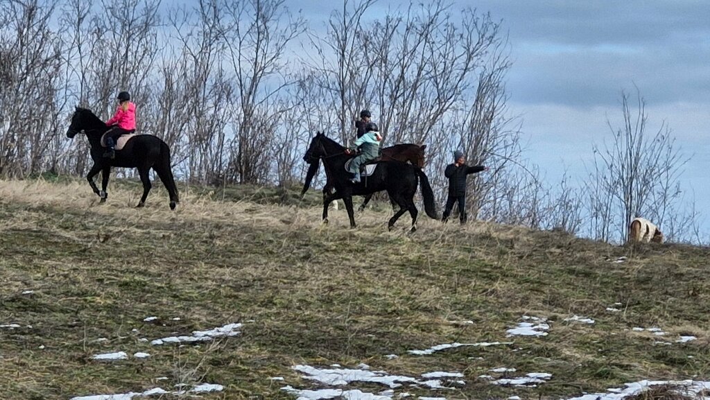 At ve binicilik kulüpleri Pony Kutak, Güney Backa İlçesi, foto
