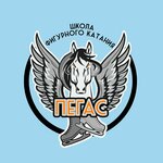 Школа фигурного катания Пегас (Kirova Street No:30, Tsentralniy Subdistrict), spor okulları  Domodedovo'dan