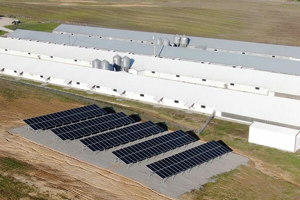 Enerji ekipmanı firmaları Petronix Solar Energy Systems, Dubai, foto