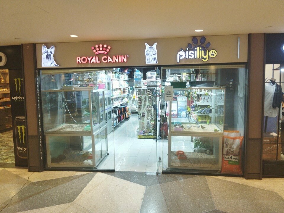 Petshop Pisiliyo Petshop, İstanbul, foto