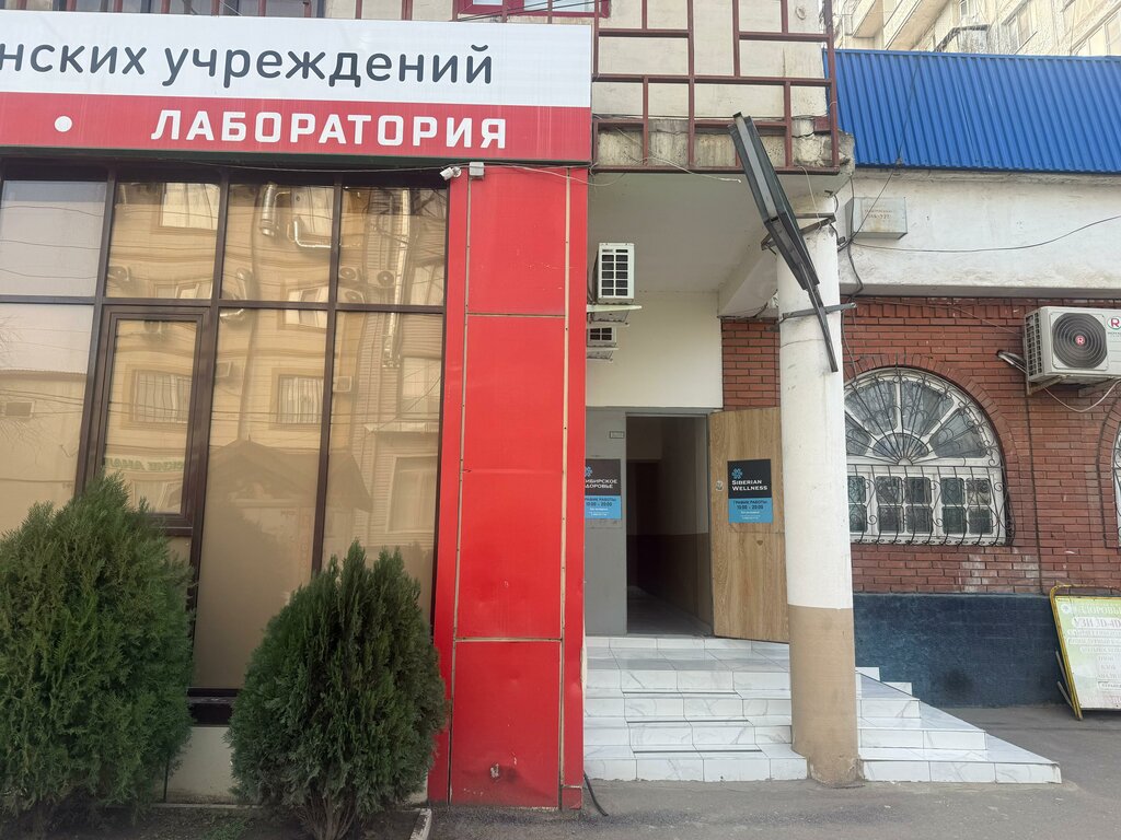 Çatı ve çatı materyalleri ЦСР Перспектива, Makhachkala, foto