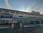 Adel (Tole Bi Avenue No:1), giyim mağazası  Taraz'dan