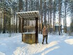 Well (Leningrad Region, Kirovskiy District, Pavlovskoye gorodskoye poseleniye), kuyu  Saint‑Petersburg ve Leningradskaya oblastından