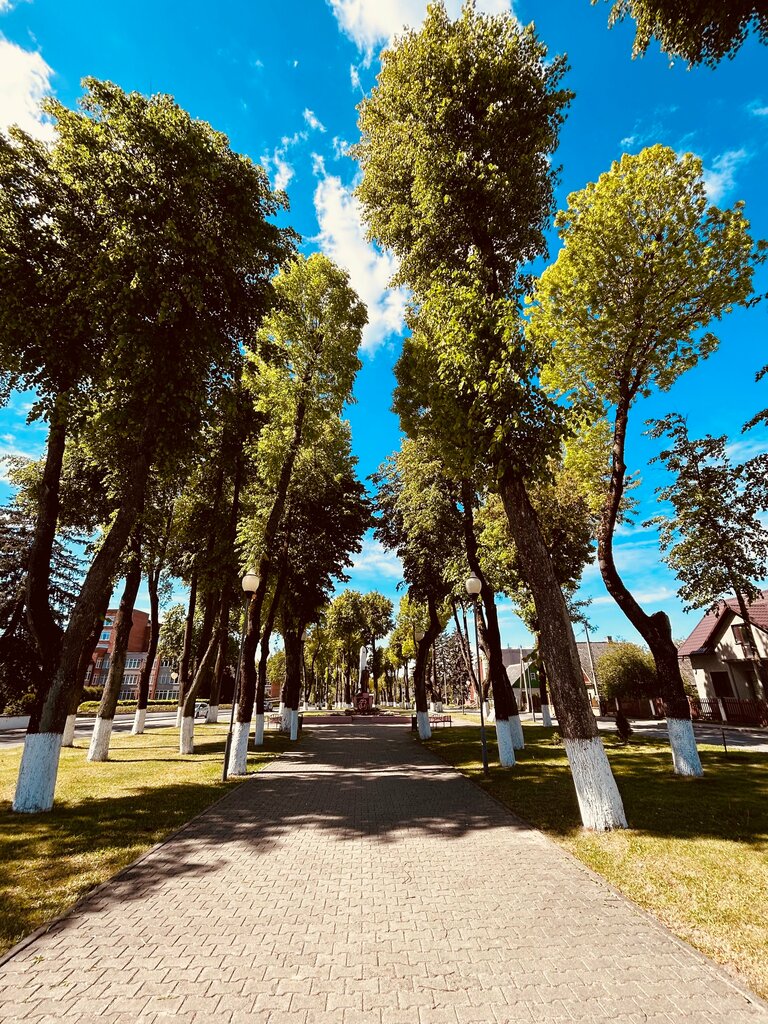 Kültür ve eğlence parkları аллея Славы, Svisloç, foto