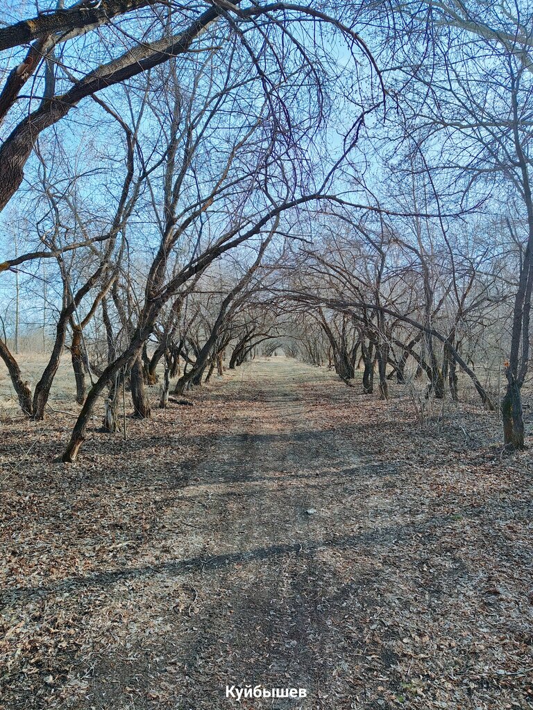Kültür ve eğlence parkları парк имени Гагарина, Kuybyshev, foto