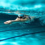 Shark Sports Academy (30, Al Rizayz Street, E18-02, Abu Dhabi), spor kulüpleri  Abu Dabi'den