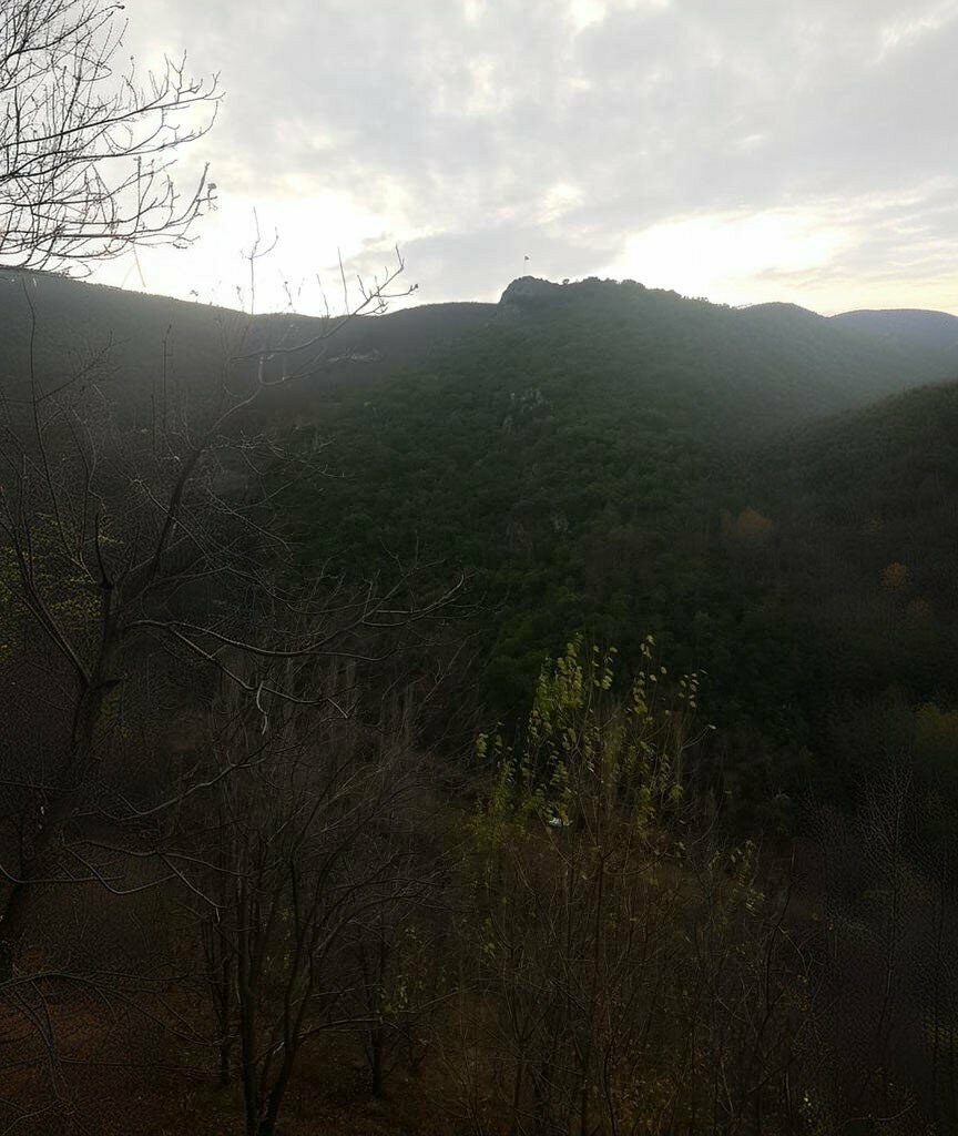 Muhtarlıklar Tatlıpınar Köy Muhtarlığı, Taşova, foto