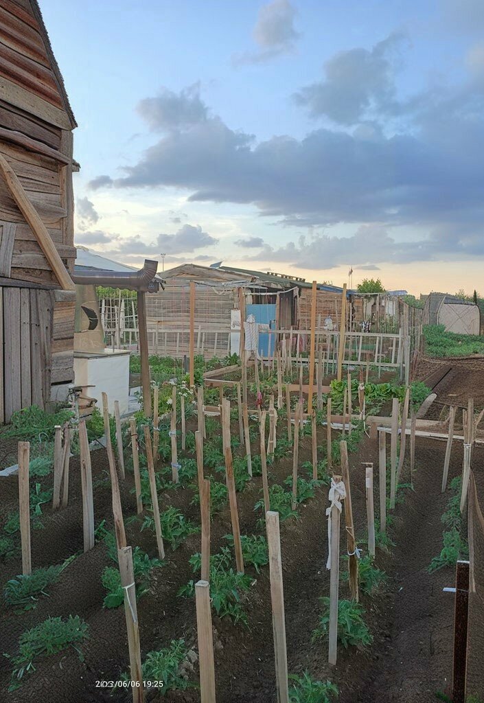 Hobi kulüpleri Cırgalan Hobi Bahçesi, Kayseri, foto