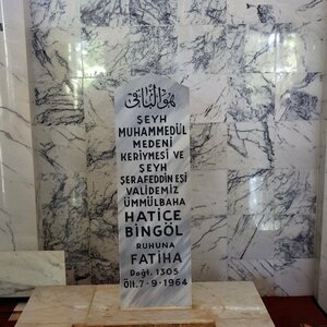 Şeyh Şerafeddin Türbesi (Yalova, Yalova Merkez, Güneyköy Köyü), parklar ve ormanlar  Yalova'dan