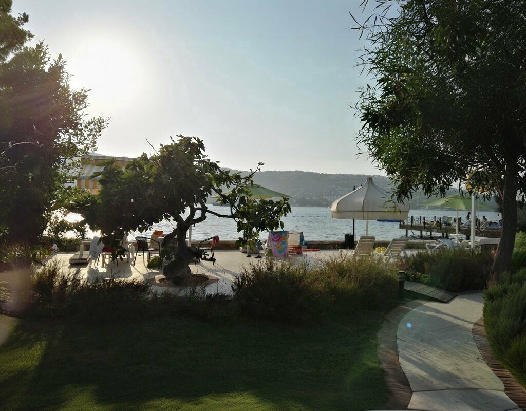 Konut blokları Tercüman Evleri Sitesi, Bodrum, foto