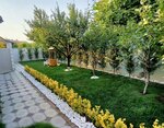 Kayra Peyzaj Ve Fidancılık (İstanbul - Kırklareli Yolu), hobi, elişi için ürünler  Kırklareli'den