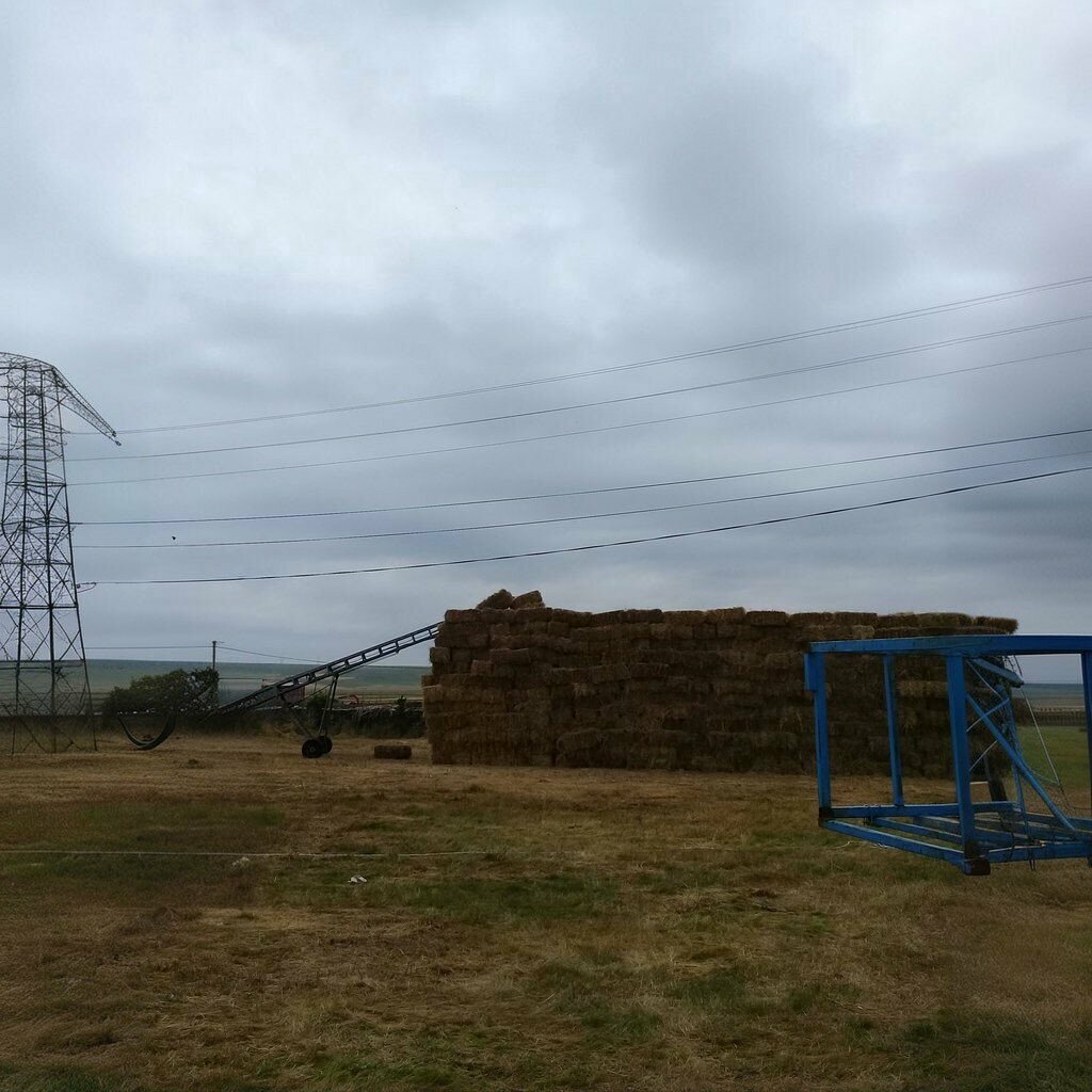 Muhtarlıklar Gediksatılmış Köy Muhtarlığı, Arpaçay, foto
