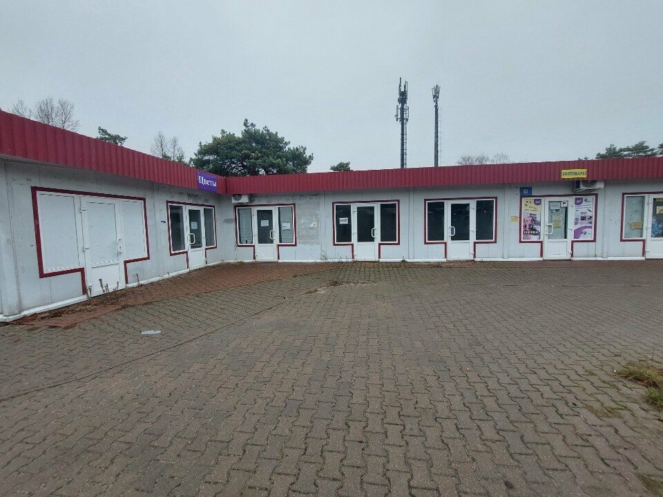 Kanatlı hayvan ürünleri ve yumurta Скидельская птицефабрика, Brest, foto