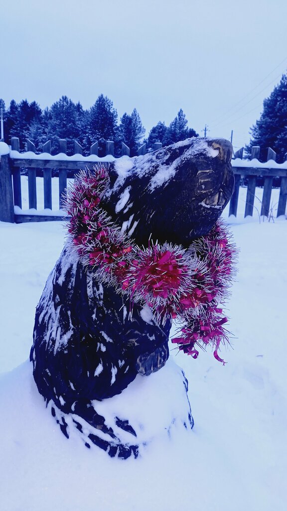 Park, sokak heykeli Два бобра, Arhangelskaya oblastı, foto