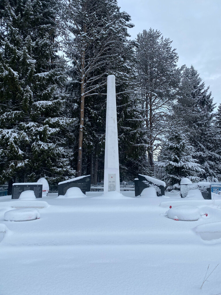 Anıt, heykel Воинам, павшим в годы Великой Отечественной войны, Vologodskaya oblastı, foto