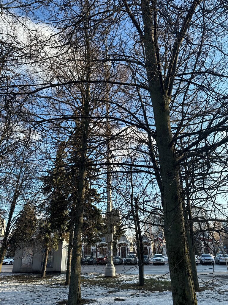 Mühendislik altyapısı Вышка сотовой связи, Moskova, foto