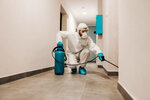 Pest Control (Nadd Al Shiba 2, Ras Al Khor, Dubai), haşere ilaçlama firmaları  Dubai'den