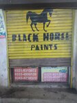 Black house paint shop (Farooq Street No:34/10, Garden Town, Block Garden), boya ve cila malzemeleri üretim ve satış yerleri  Lahor'dan