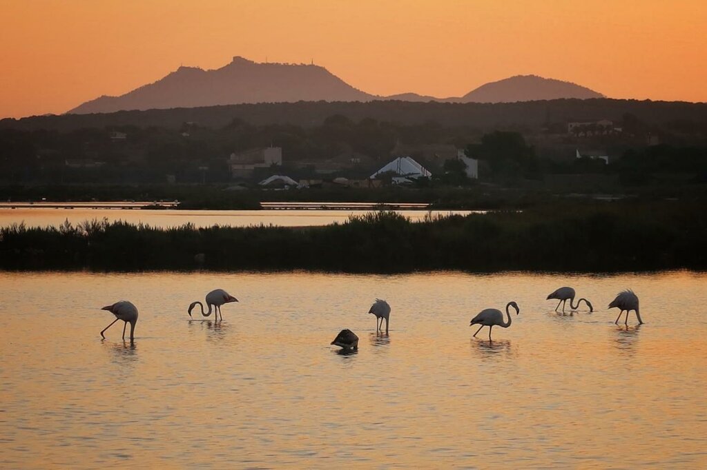 Otel Aparthotel Isla de Cabrera, Balear Adaları, foto