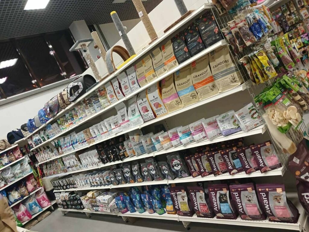 Petshop Собака-Улыбака, Permski krayı, foto