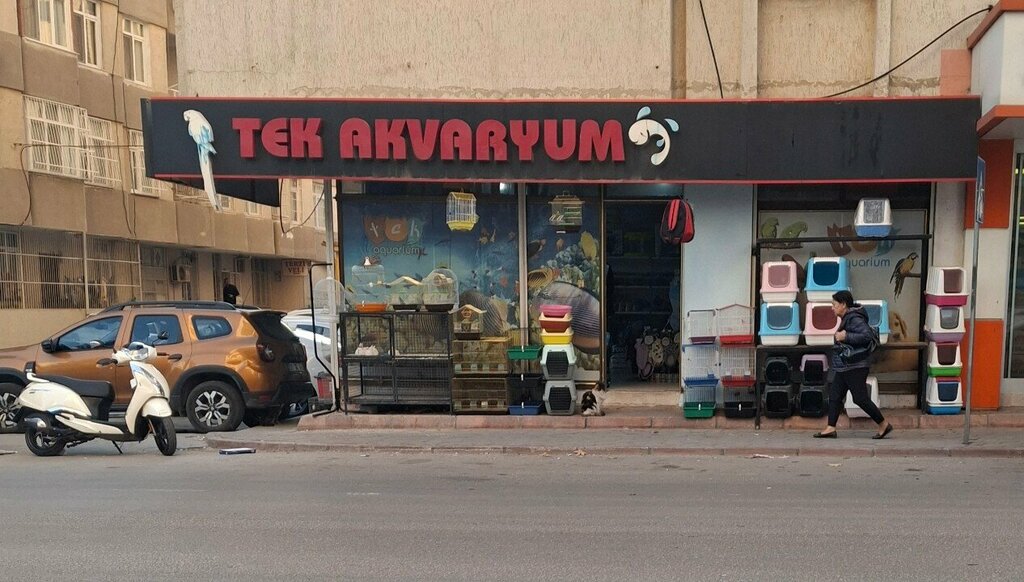Petshop Tek Akvaryum, Adana, foto