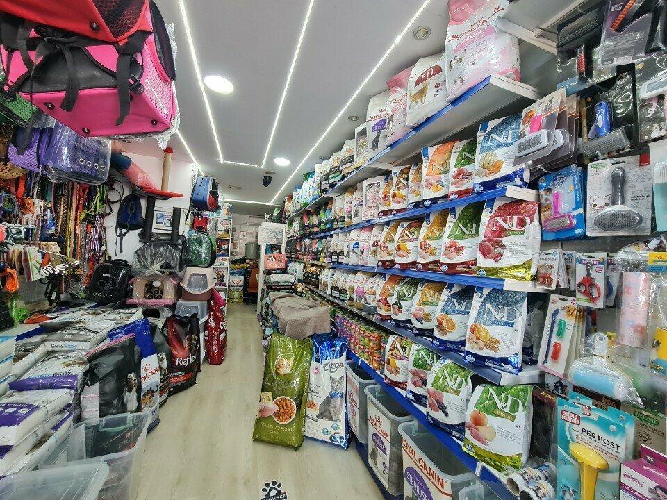 Petshop Paticikler Pet Shop, Antalya, foto