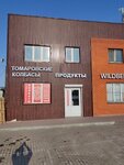 Магазин Продуктов (Yagodnaya ulitsa No:4А, posyolok Novosadovy), market  Belgorodskaya oblastından