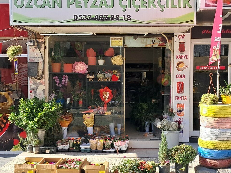 Çiçekçiler Özcan Peyzaj Çiçekçilik, İzmir, foto
