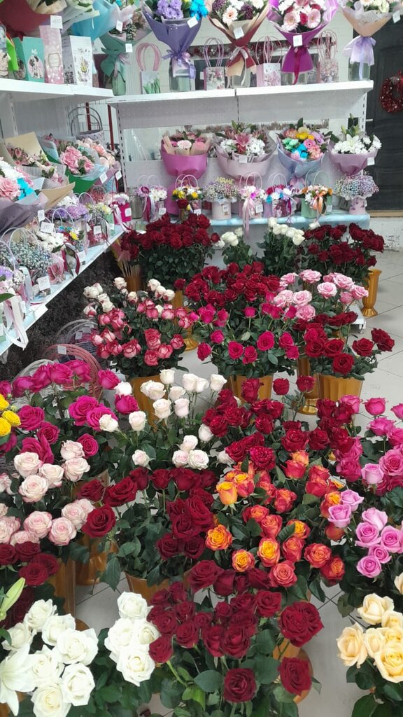 Alışveriş merkezleri Русь, Rostovskaya oblastı, foto