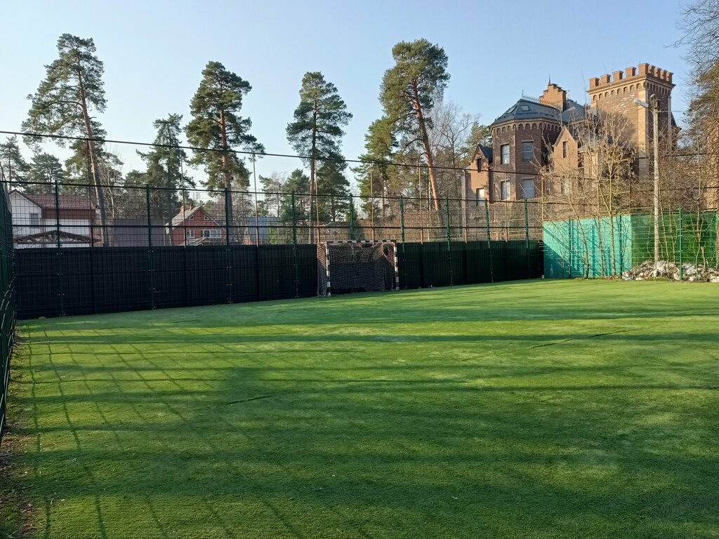 Spor alanı Футбольное поле, Puşkino, foto