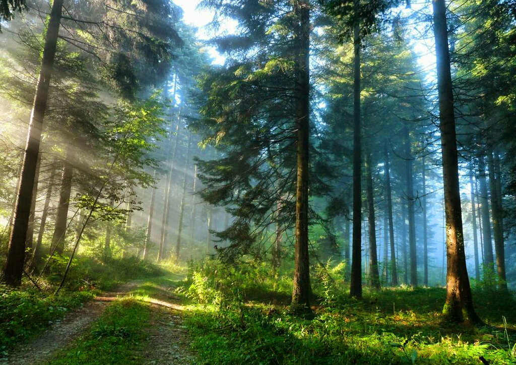 Profesyonel fotoğraf stüdyosu Photography and Printing, Moskova, foto