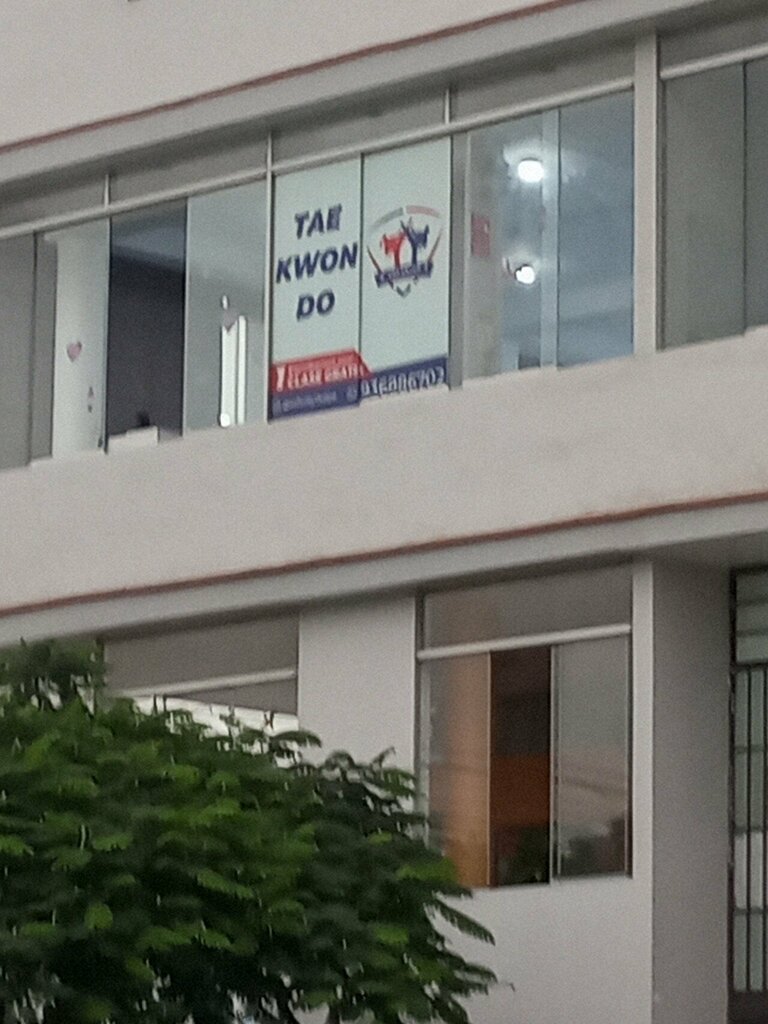 Spor kulüpleri Tae kwon do, Lima, foto