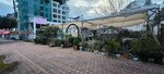 Cnm Peyzaj Ve Çiçekçilik (Atatürk Blv., No:90B, Konyaaltı, Antalya), çevre peyzaj hizmetleri  Antalya'dan