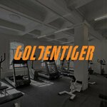 Золотой Тигр (Lodygina Street No:15), spor kulüpleri  Yekaterinburg'dan