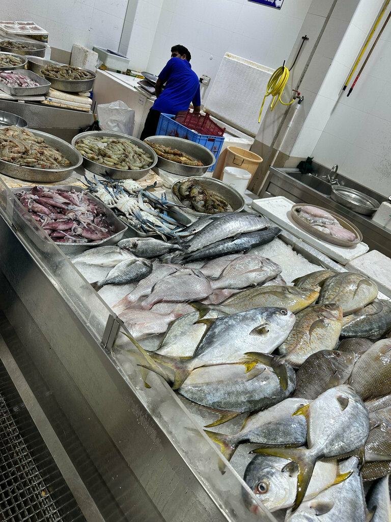 Balık ve deniz ürünleri Fish Market, Fudjeyra, foto