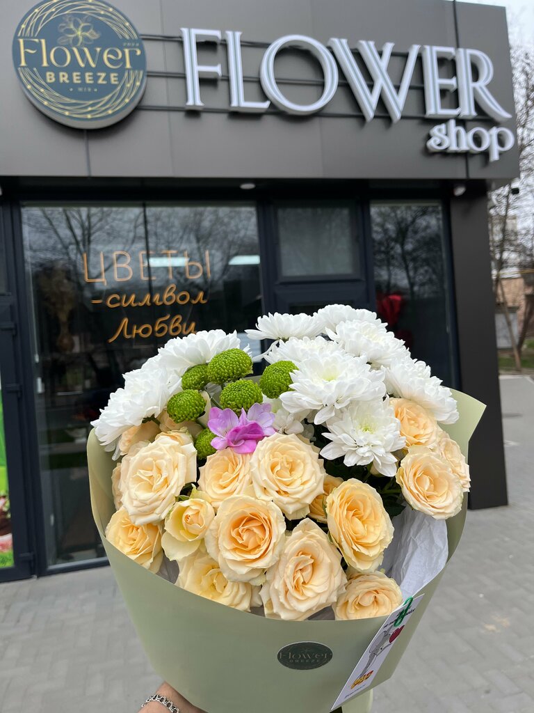 Çiçekçiler Flower. Breeze. Mir, Tiraspol, foto